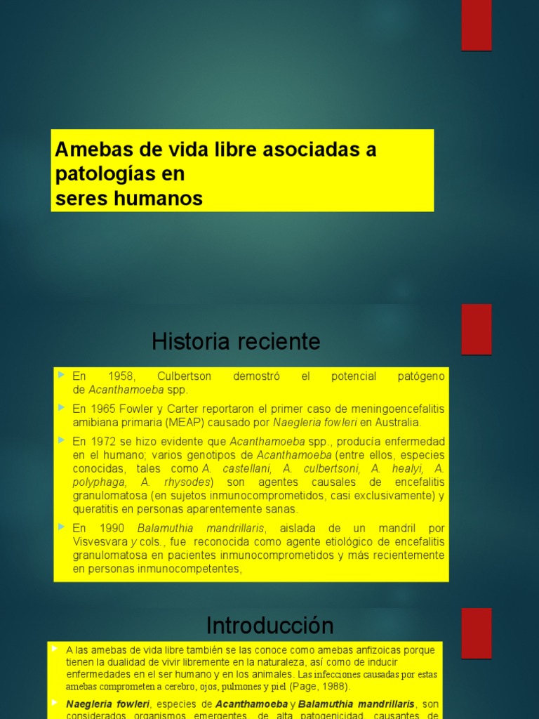 Amebas de Vida Libre | PDF | Organismos | Biología Celular