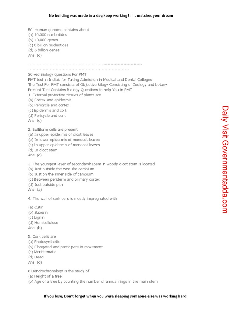 Cork Cell Composition in Biology | PDF
