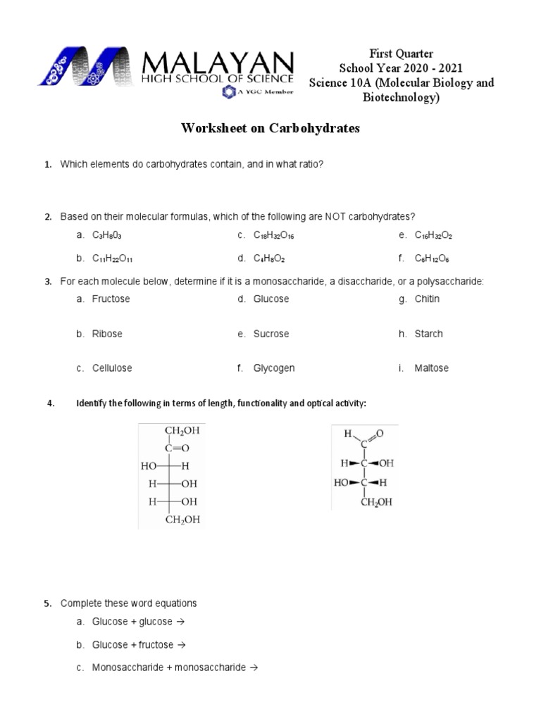 Carbohydrates Worksheet for Grade 10 | PDF | Science & Mathematics