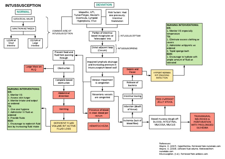 INTUSSUSCEPTION | PDF | Gastroenterology | Diseases And Disorders