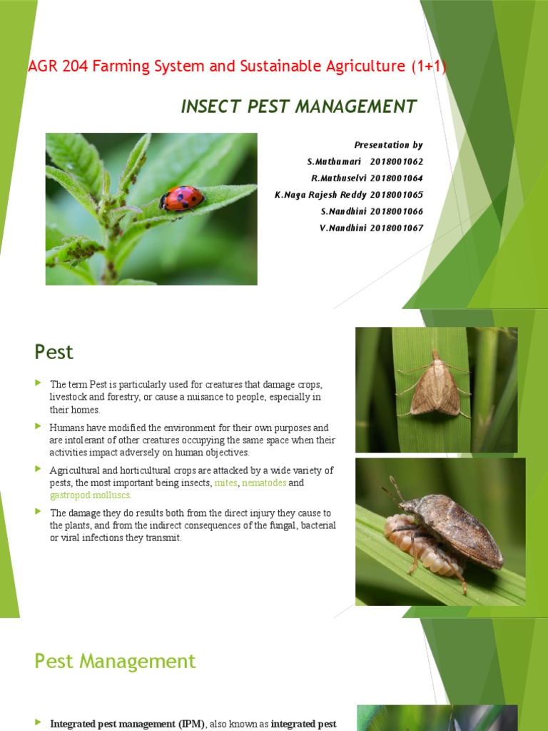Agr 204 Insect Pest Management | PDF | Pest Control | Environmental Design
