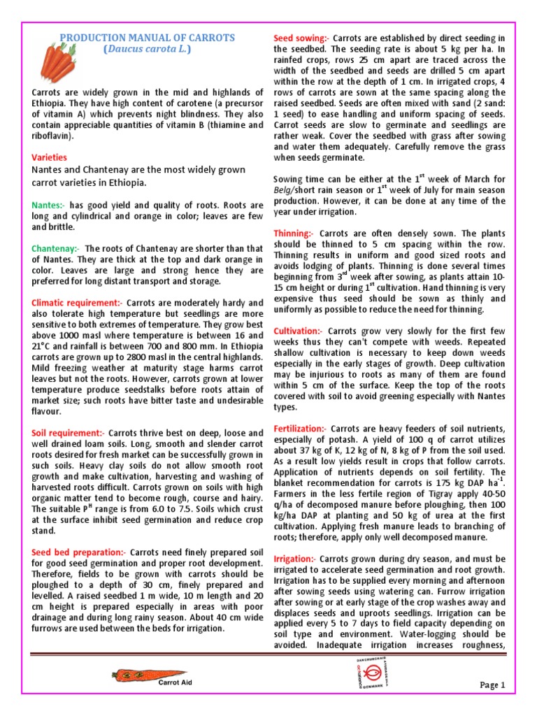 Production Manual of Carrots (Daucus Carota L.) | PDF | Carrot | Sowing