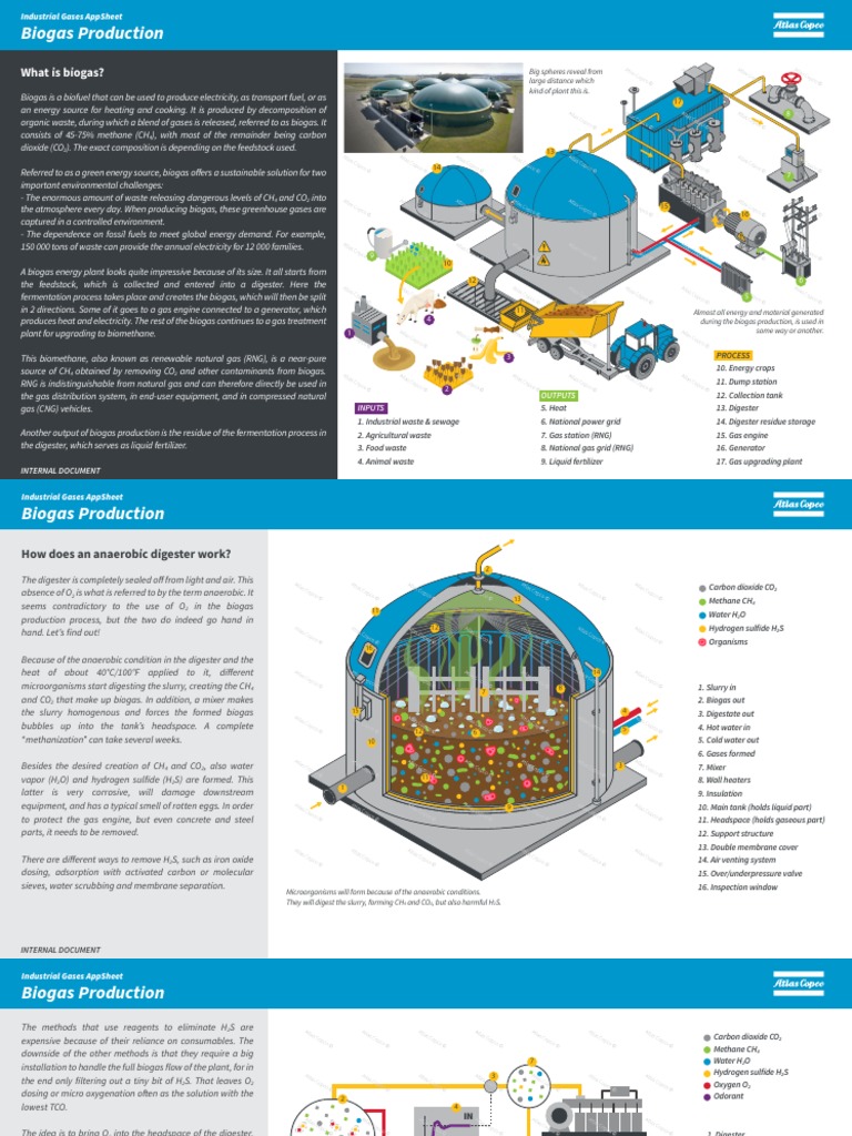 Biogas Production Insights | PDF | Biogas | Anaerobic Digestion