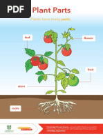 Humans Should Stay Home and Let Robots Take To The Stars HMH Literature ...