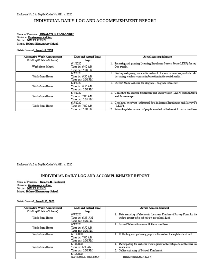 Individual Daily Log and Accomplishment Report | PDF | Behavior ...