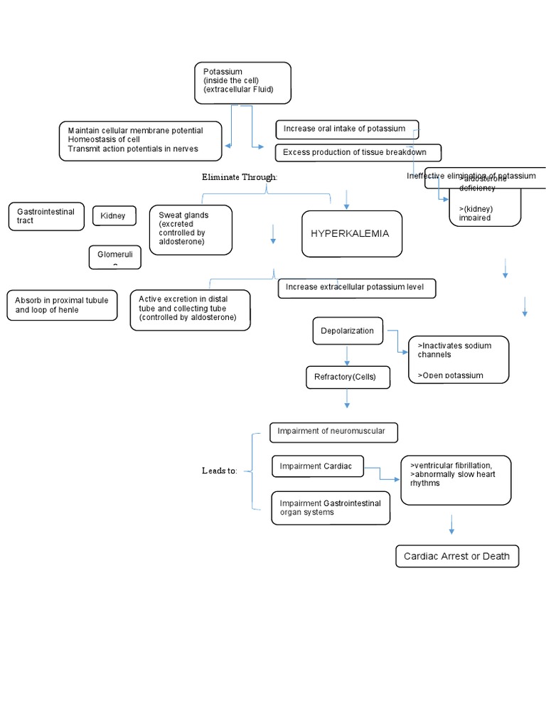 Pathophysio | PDF | Organ (Anatomy) | Medical Specialties