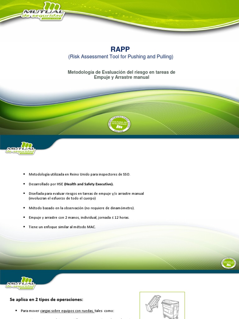 Presentación Método Rapp | PDF | Naturaleza