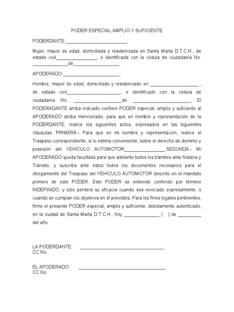 Poder Especial Amplio y Suficiente | PDF