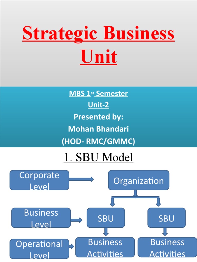 Strategic Business Unit | PDF | Home Appliance | Strategic Planning