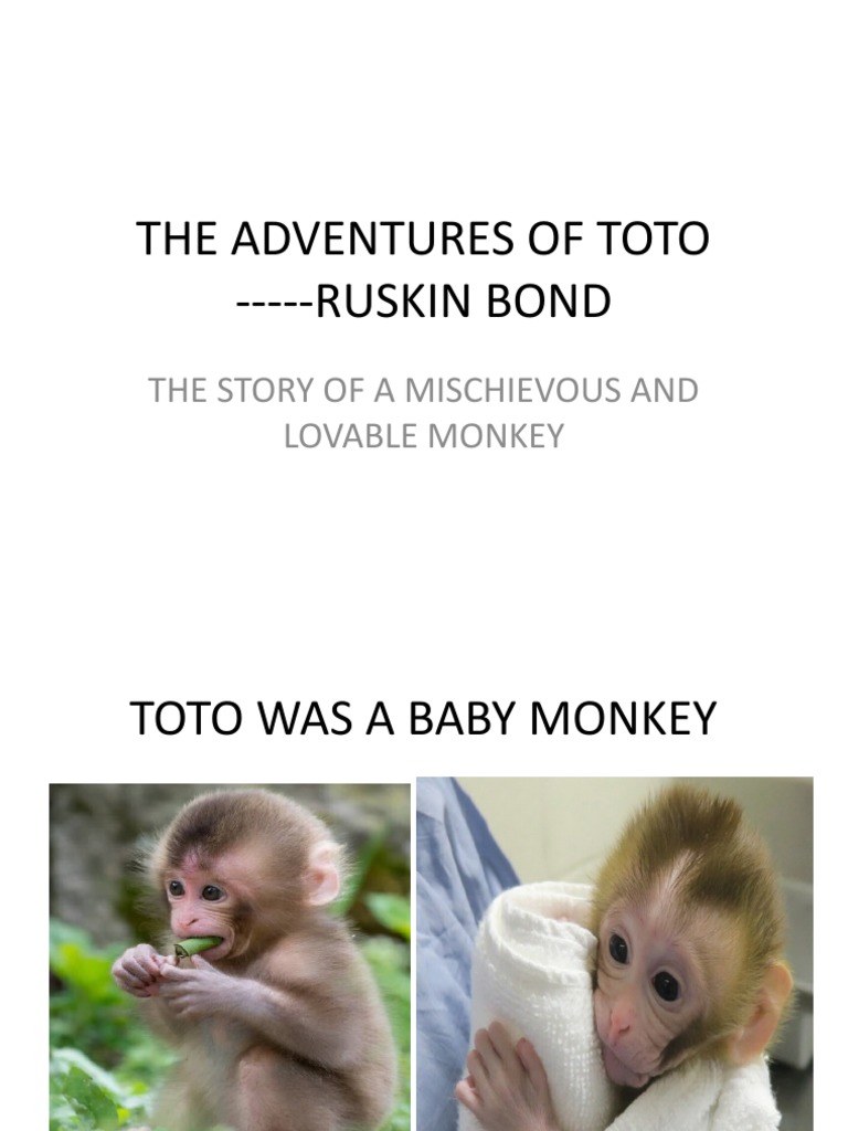 The Adventures of Toto