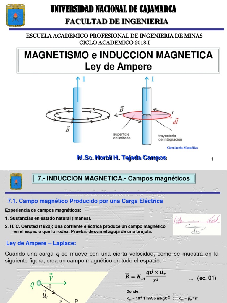 Magnetismo e Induccion Magnetica. - Ley de Ampere - 2018-I | PDF | Campo magnético | Magnetismo