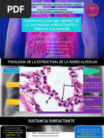 Guía para Evaluación de Reflejos | PDF | Codo | Anatomía humana