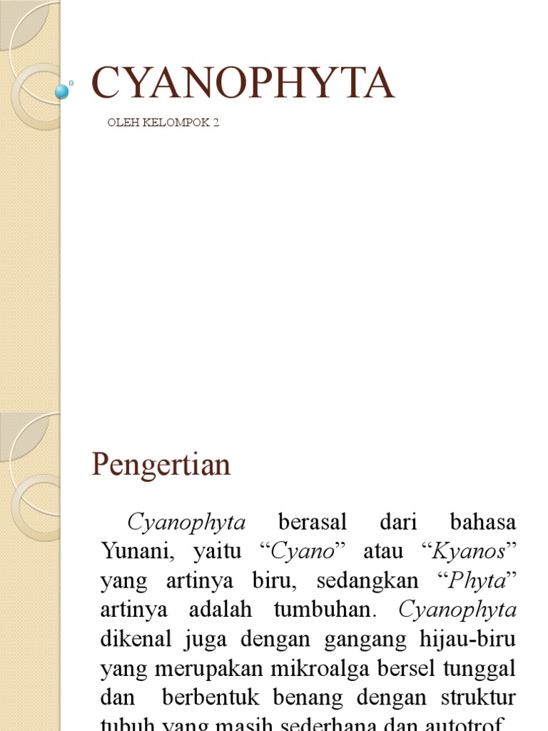 CYANOPHYTA Kel 2 | PDF