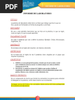 Modelo de Informe de Laboratorio | PDF