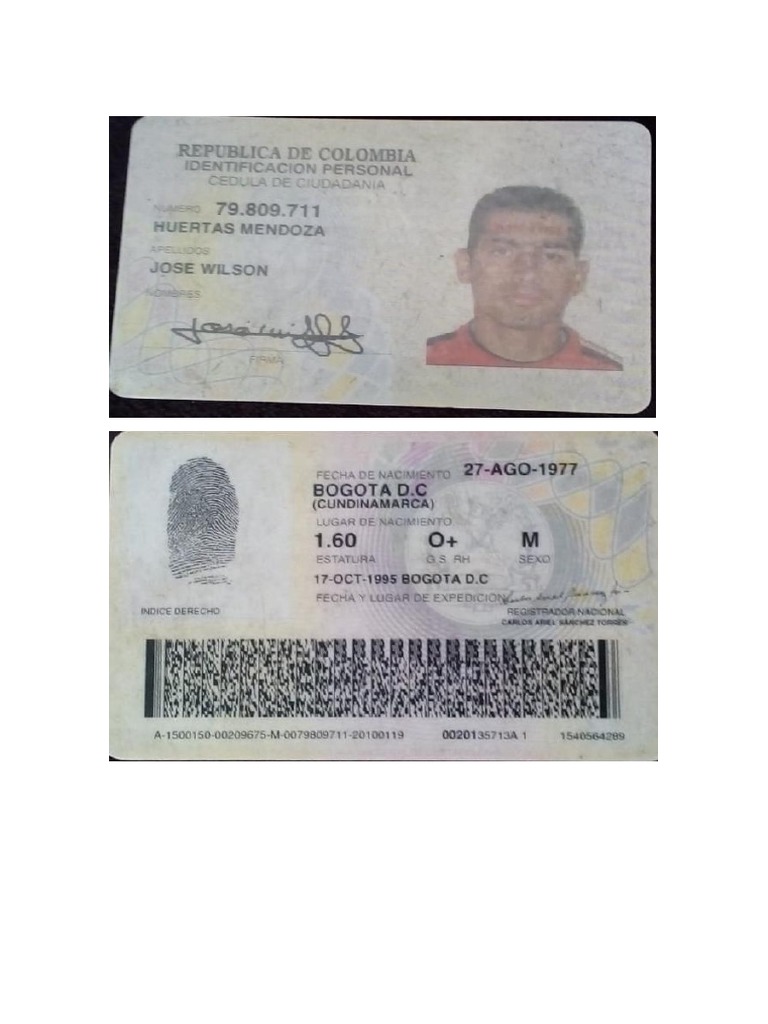 Cedula Wilson PDF | PDF