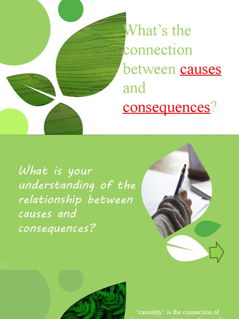 Understanding Causes and Consequences | PDF