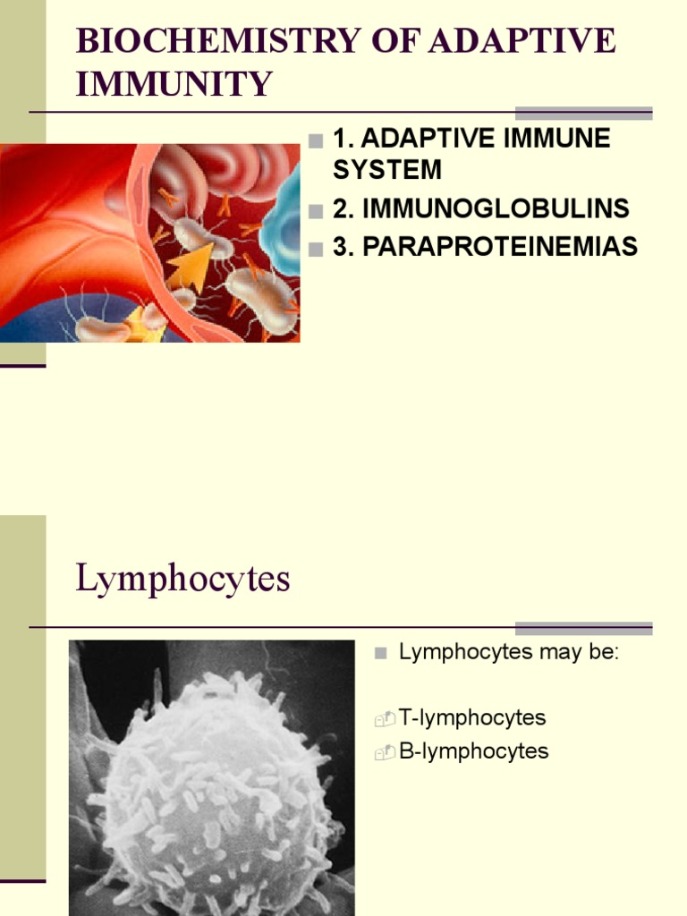 Biochemistry of Adaptive Immunity | PDF | Lymphatic System | B Cell