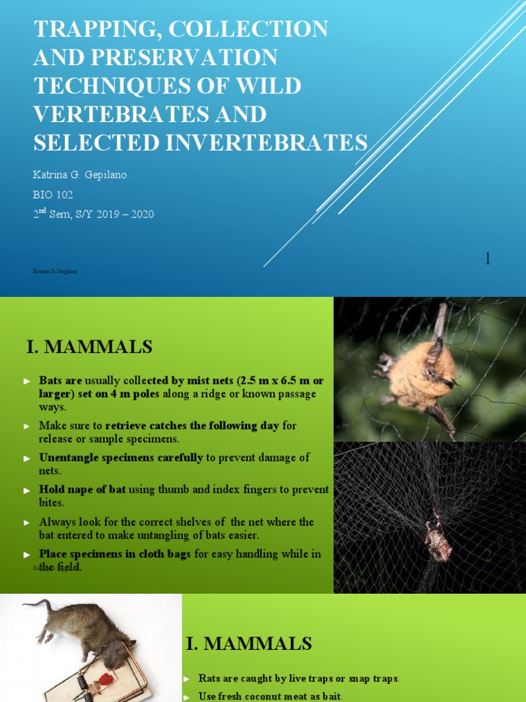 Trapping, Collection and Preservation Techniques of Wild Vertebrates ...
