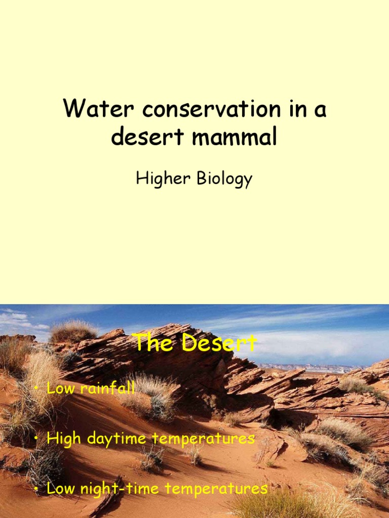 Water Conservation in A Desert Mammal | PDF