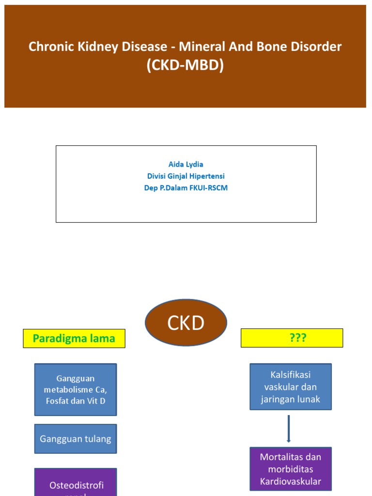 CKD MBD - Dr. Aida | PDF | Renal Function | Chronic Kidney Disease