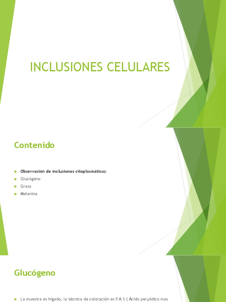 INCLUSIONES CELULARES 1 Autoguardado | PDF | Mitosis | Cromosoma