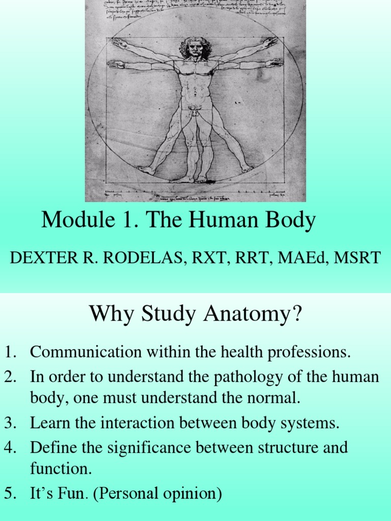 Module 1 - The Human Body | Download Free PDF | Anatomical Terms Of ...