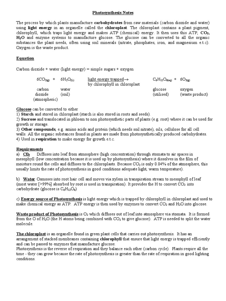 Photosynthesis Notes | PDF | Photosynthesis | Leaf