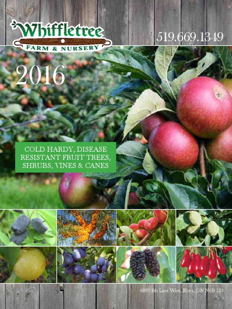 Whiffletree Catalogue 2016 | Download Free PDF | Mali | Apple