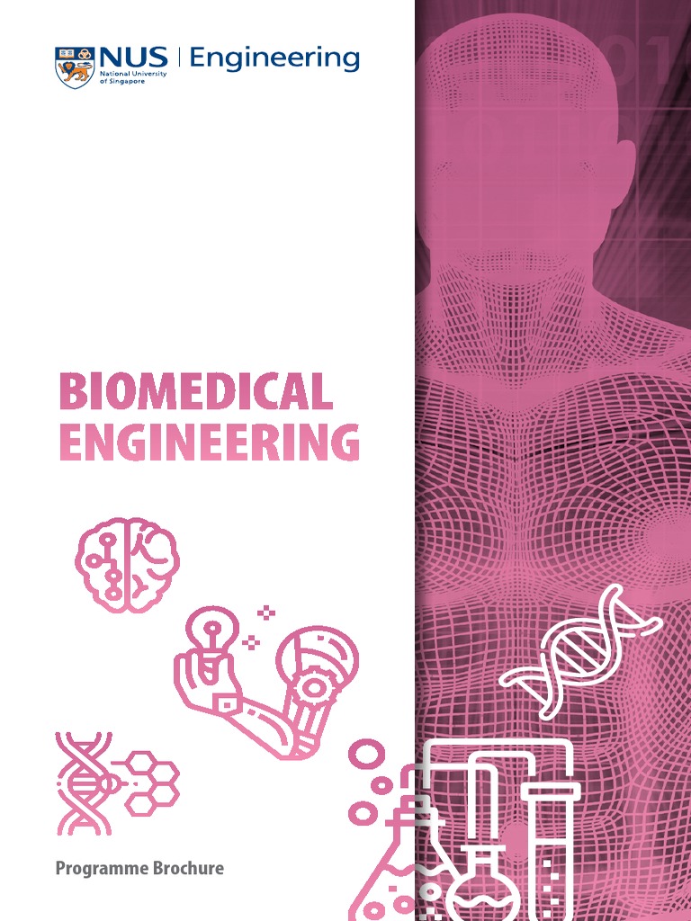 NUS Engineering Brochure 2020 BME | PDF | Biomedical Engineering ...