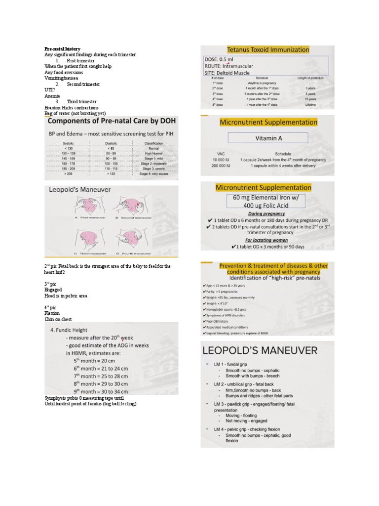 Prenatal Notes | PDF