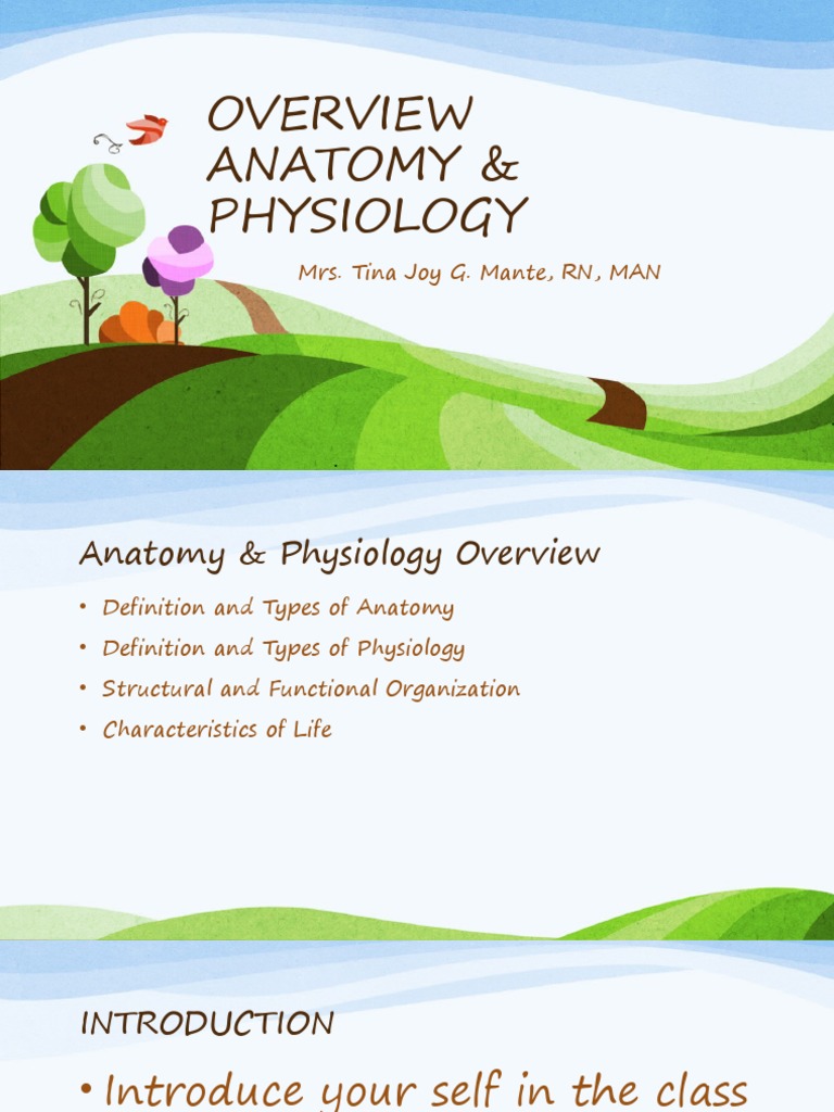 Anaphy Overview | PDF | Organ (Anatomy) | Human Body