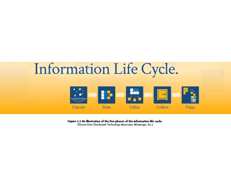 Figure 1.1 An Illustration of The Five Phases of The Information Life ...