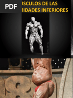 Tabla de M-Sculos Del Miembro Inferior | PDF | Sistema musculoesquelético | Anatomía humana