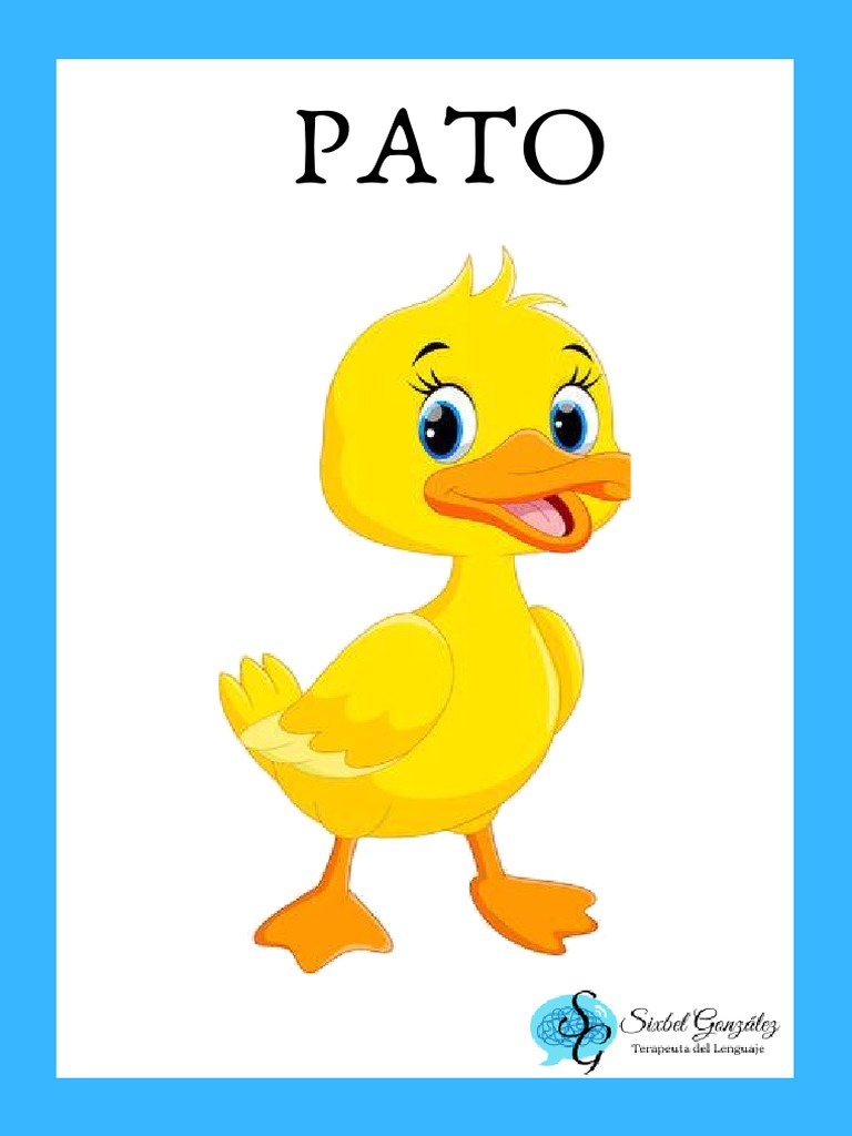 Tarjetas de Animales | PDF