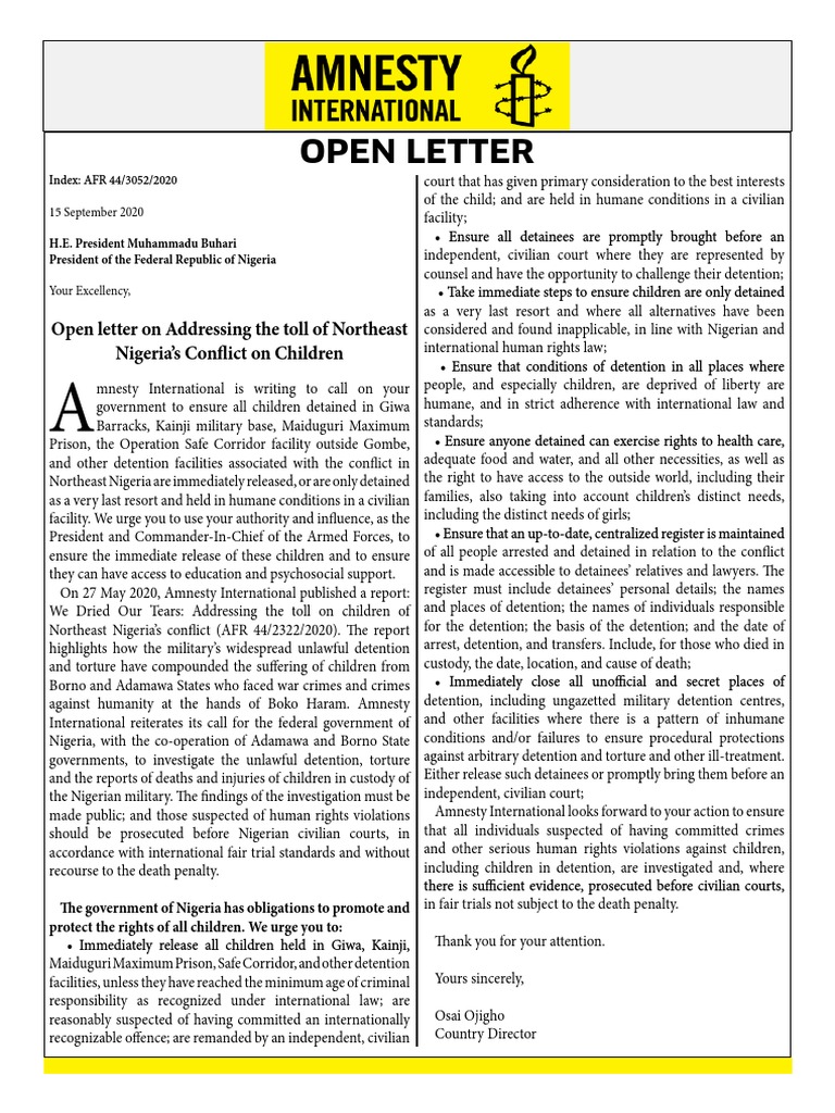 DOCUMENT: Copy of Amnesty International's Open Letter | PDF | Detention ...