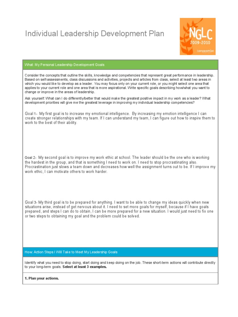 Action Plan Lead | PDF | Goal | Leadership