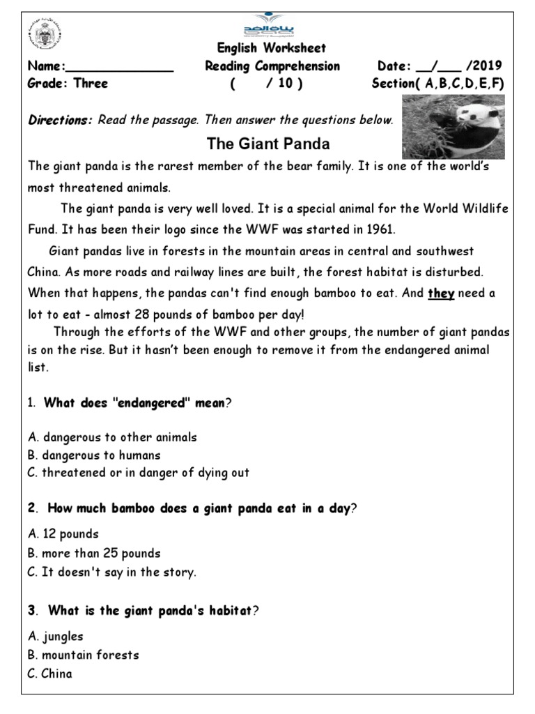 Giant Panda Reading Comprehension Grade 3 | PDF