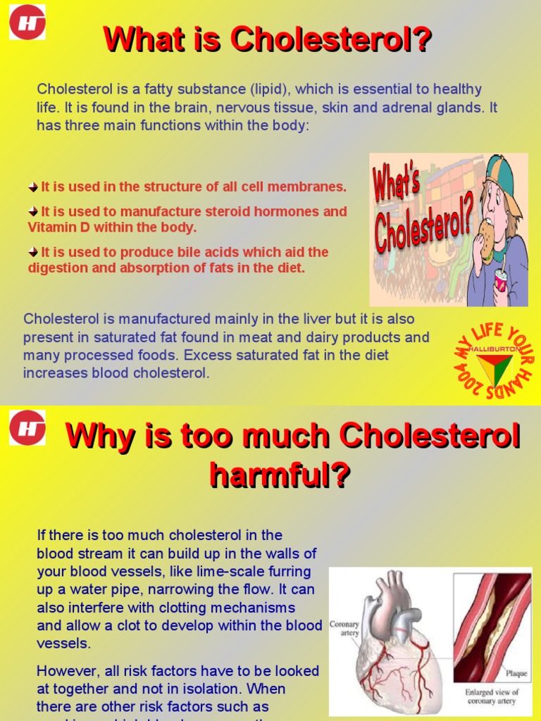 What is Cholesterol? Explained | PDF | Cholesterol | Fat