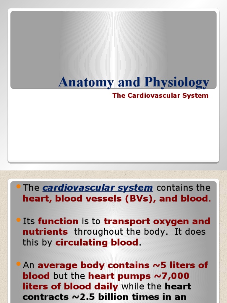 Anatomy and Physiology: The Cardiovascular System | PDF | Artery | Heart