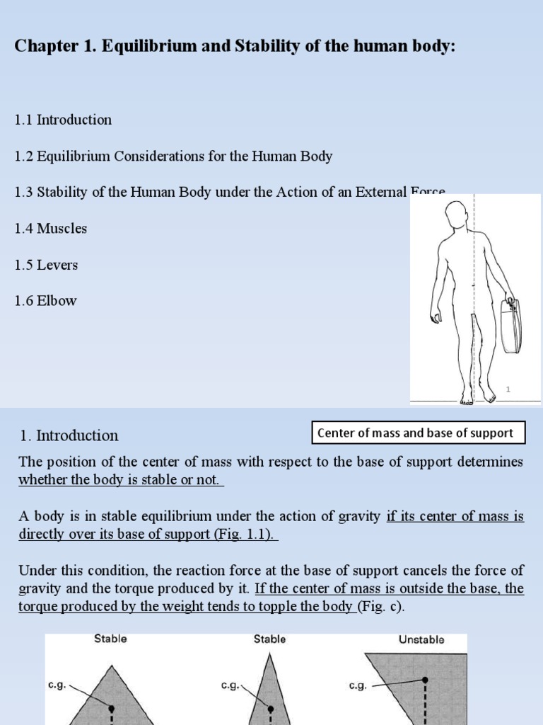 Chapter 1. Equilibrium and Stability of The Human Body | PDF | Lever ...