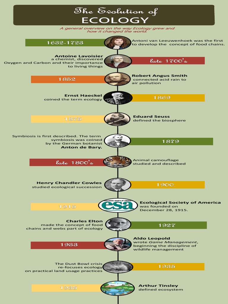 Concept Map For Evolution of Ecology | PDF | Ecology | Ecosystem