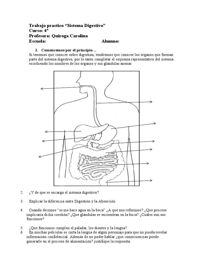 Trabajo Practico Sistema Digestivo | PDF | Sistema digestivo humano ...