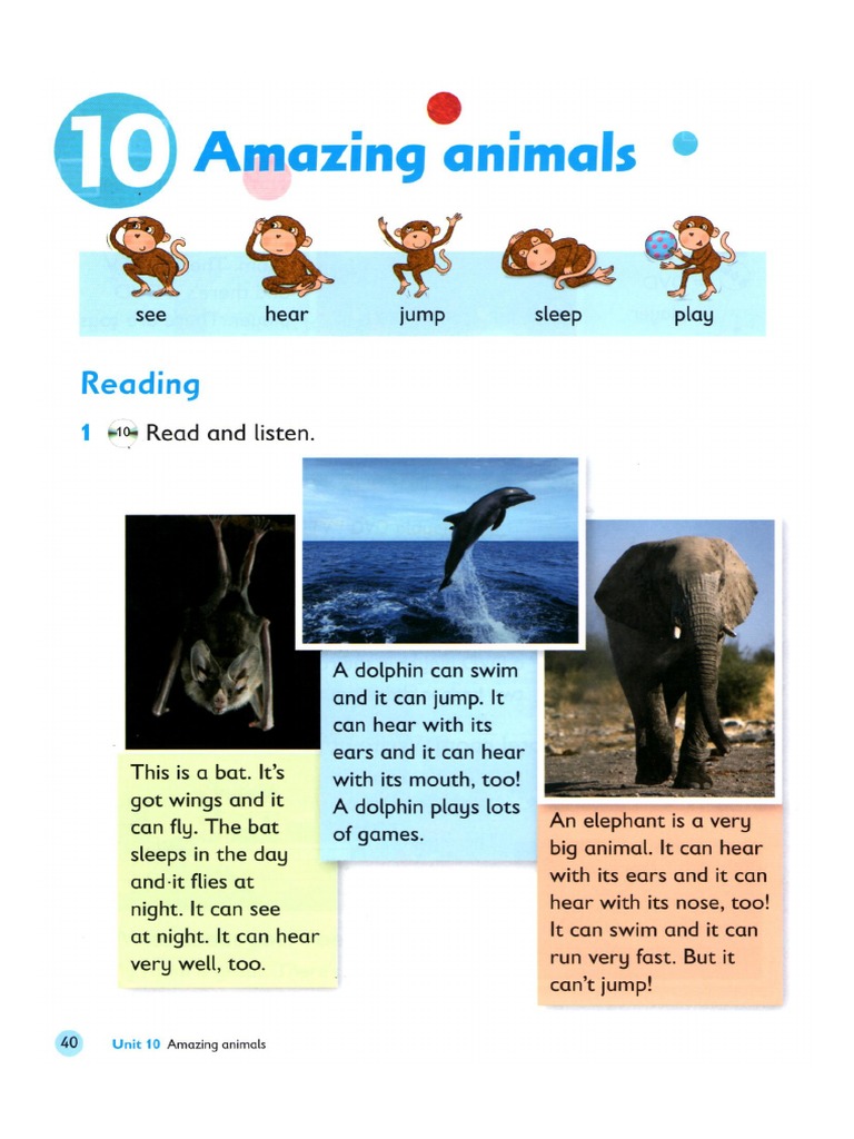Amazing Animals | PDF