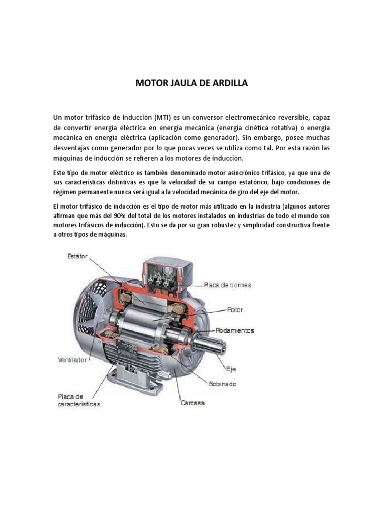 Motor Jaula De Ardilla Partes _ Partes motor jaula de ardilla – BJSMHF