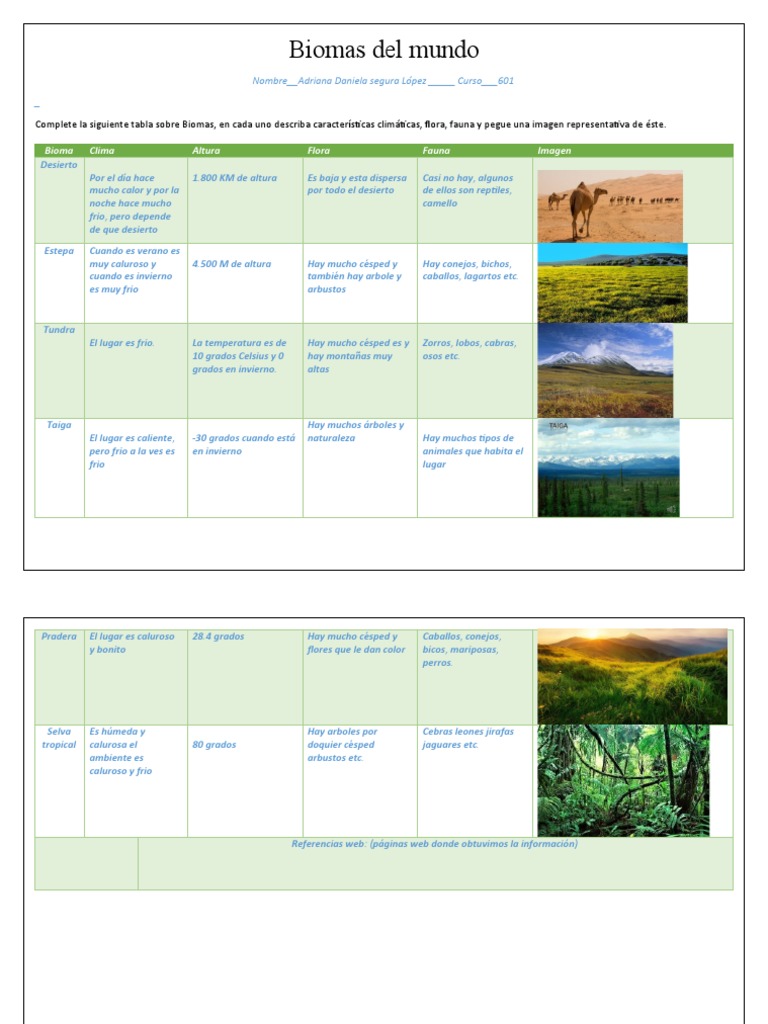 Hoja De Trabajo Sobre Los Biomas Del Mundo Biomas Para Primero De