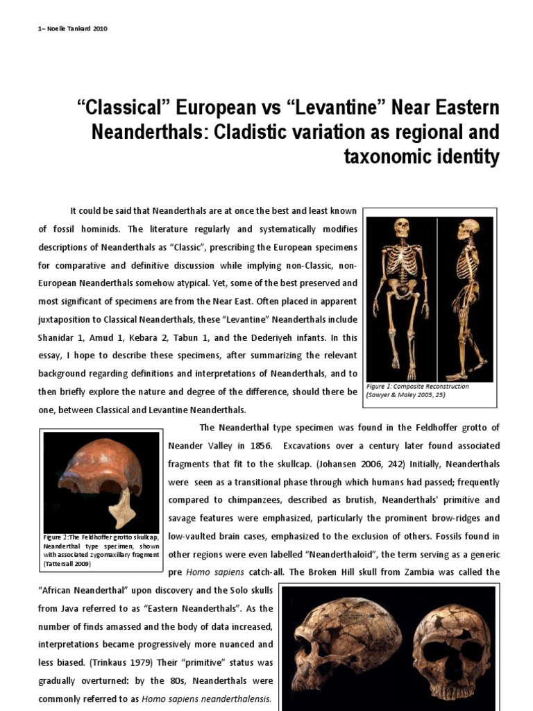 More "Human" or Simply Less Neanderthal? "Classic" Vs "Levantine ...