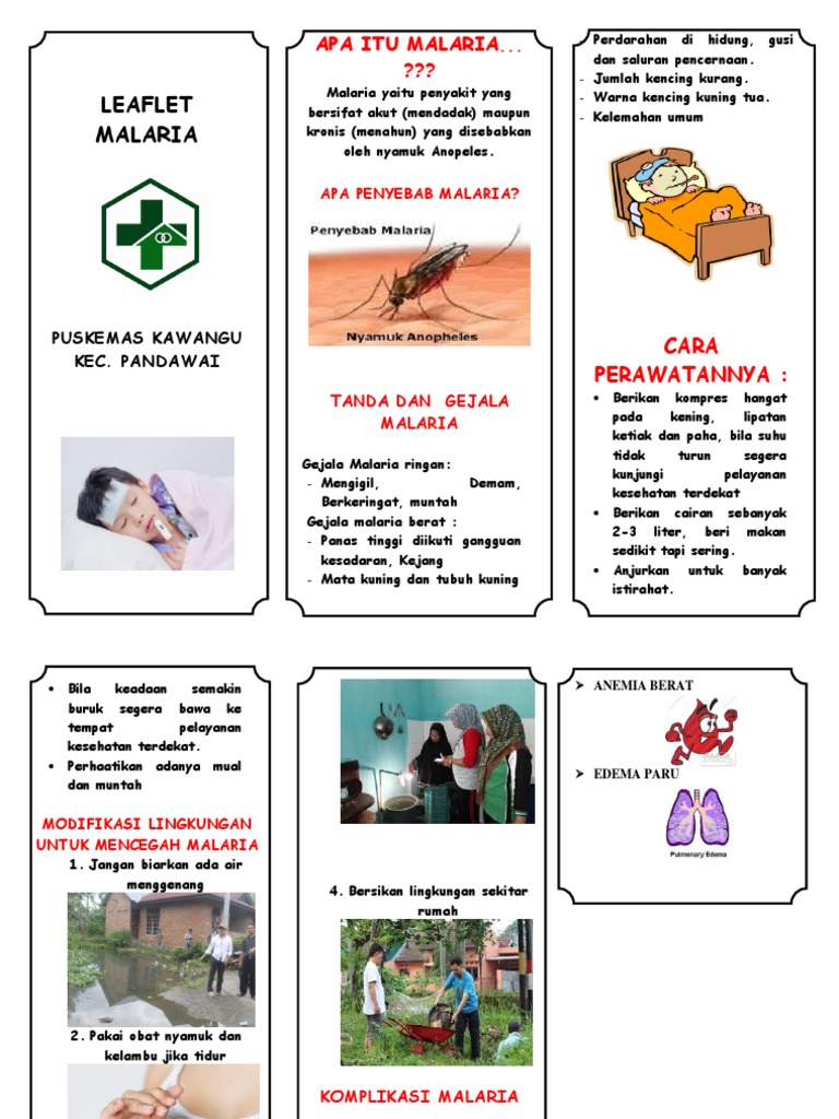 Leaflet Malaria PDF | PDF