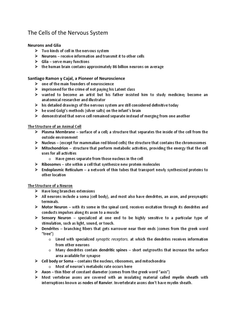 The Structure and Function of Neurons and Glia in the Nervous System ...