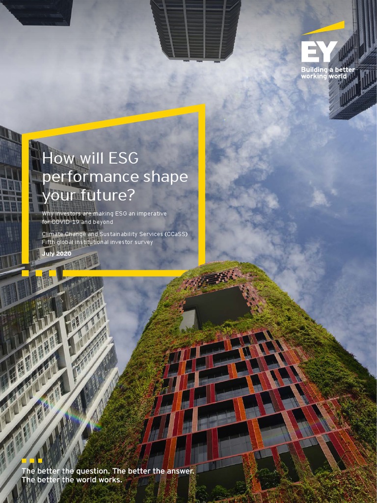 Ey Global Institutional Investor Survey 2020 PDF | PDF | Investor | Risk