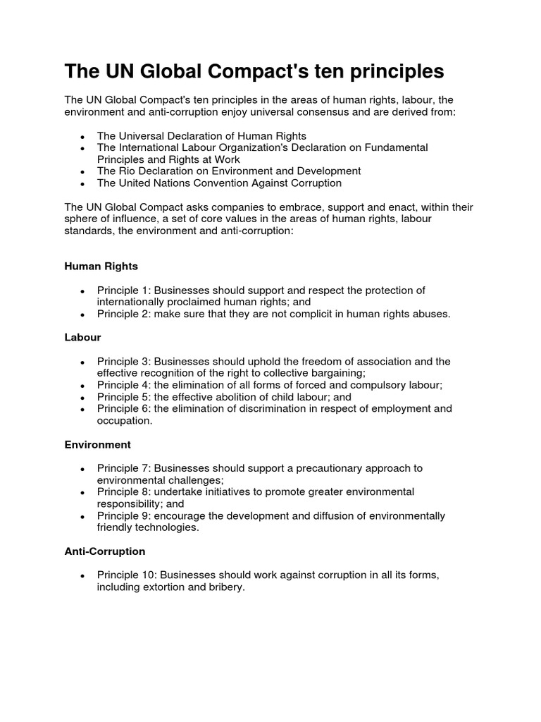 The UN Global Compact Principles PDF | PDF